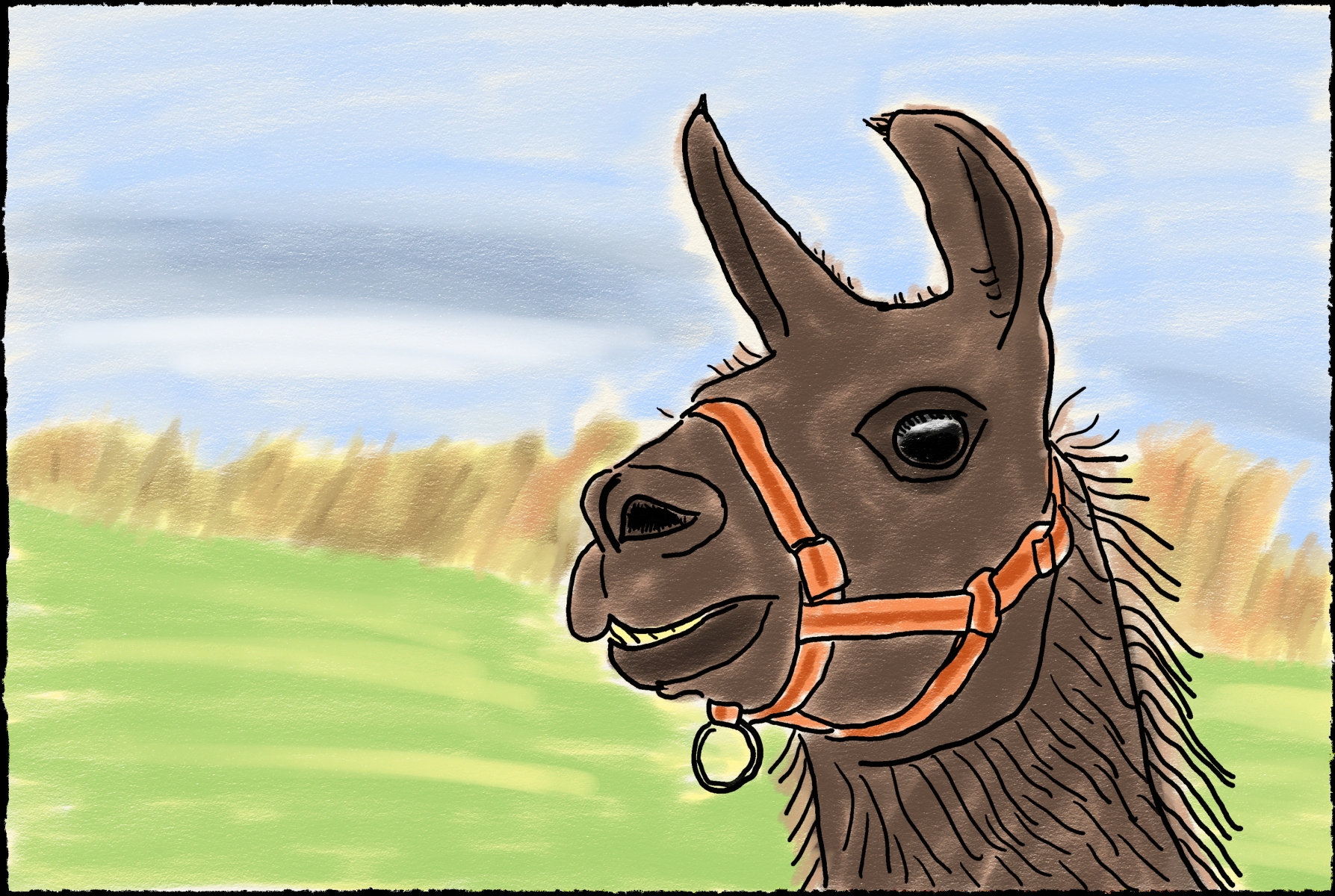 Photo-montage Illustrations – HarryLlama Video